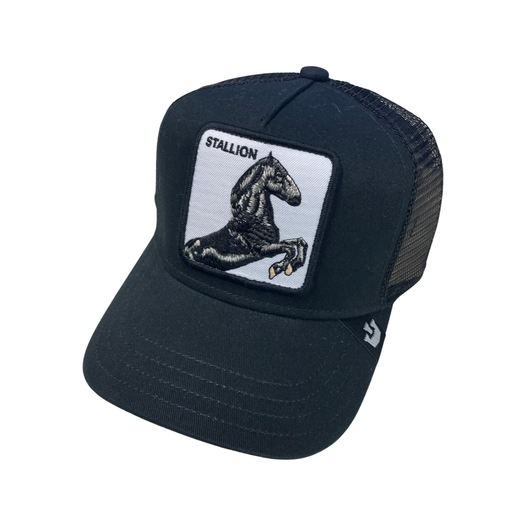 Gorin Bros caps Stallion | Tante Pose